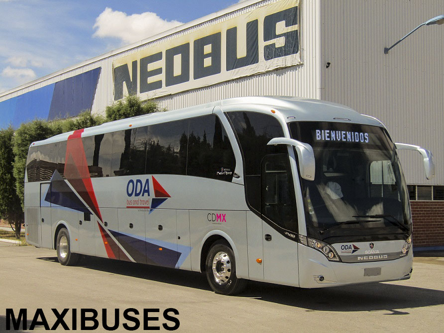 MAXIBUSES: OMNIBUS DE ALBA (TURISMO) - NUEVAS UNIDADES