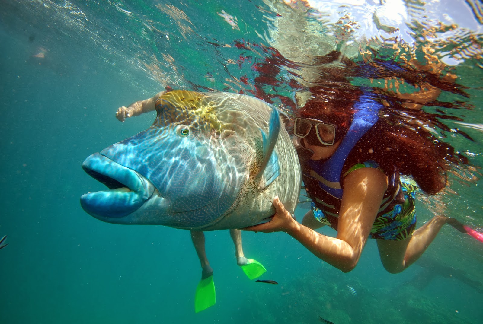 mytravelfootprints: I’am in love with the Gentle Giant Wally! The ...