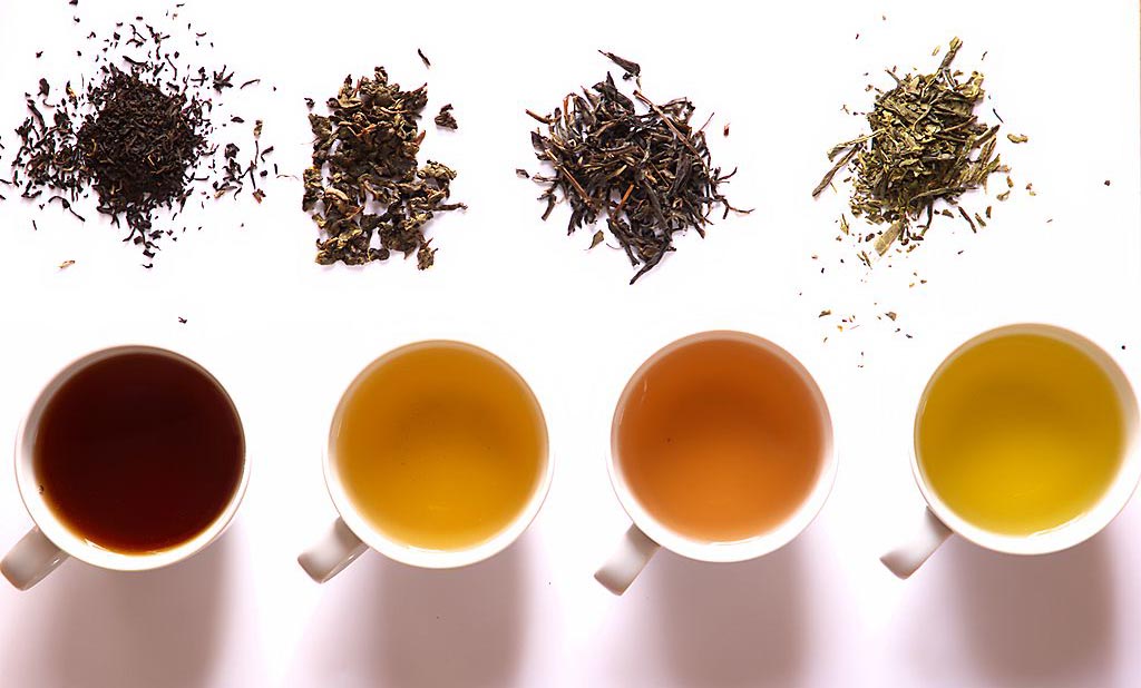 茶 Tea Dreams 梦: Tea Terms