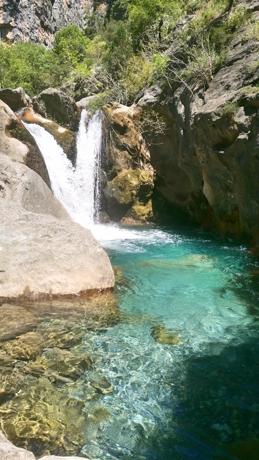 Riihen ikkunasta: Voi Turkin pippuri