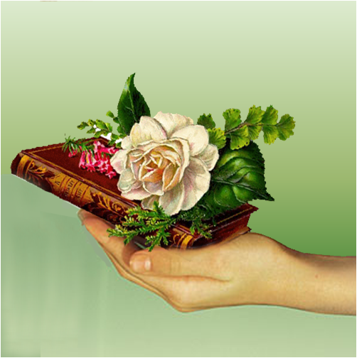 Mis pensamientos al viento: Un libro y una rosa