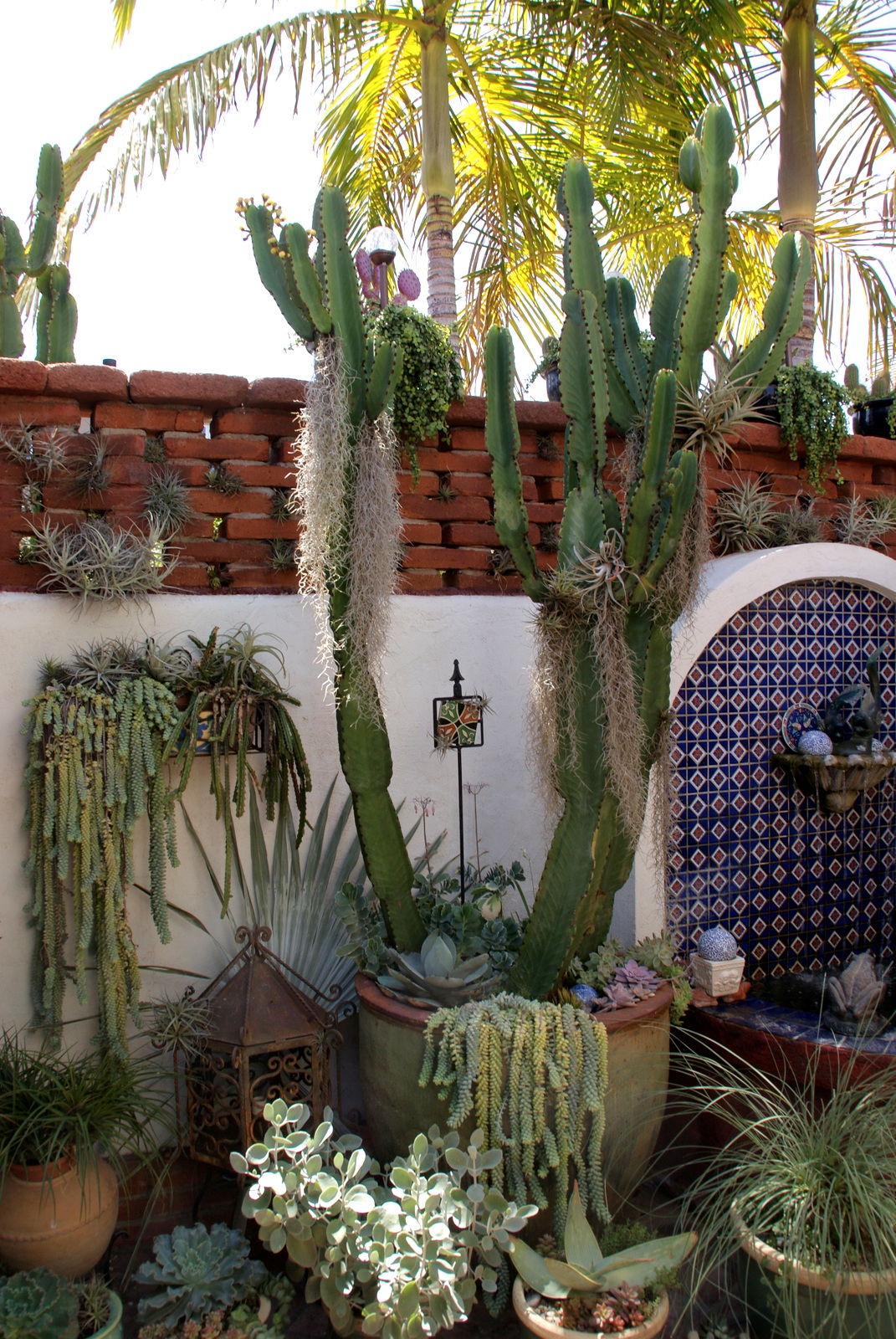 Organic Garden Dreams: Cozy Casita II, The Lovely Courtyard