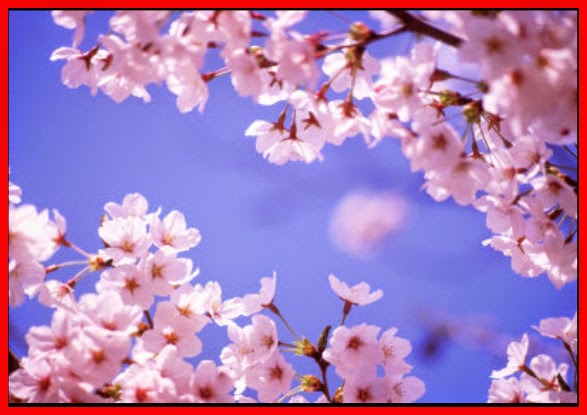 5 Bunga Terindah Di Dunia-Sarah Ayu Wulandari - Piwanoke