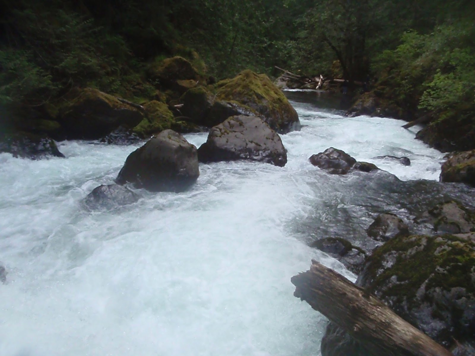 Fluid: As a lifestyle.: The Big Quilcene - Olympic Peninsula