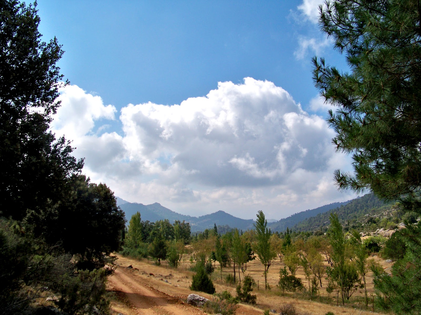 el senderista loco: Nava del Milano-Las Cebadillas-Collado del lobo