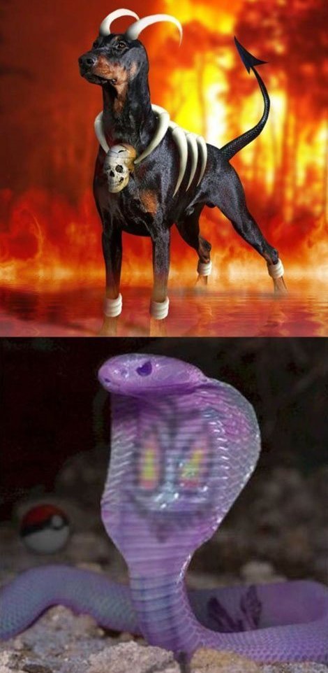 Watak Pokemon dalam Dunia Sebenar (9 Gambar)