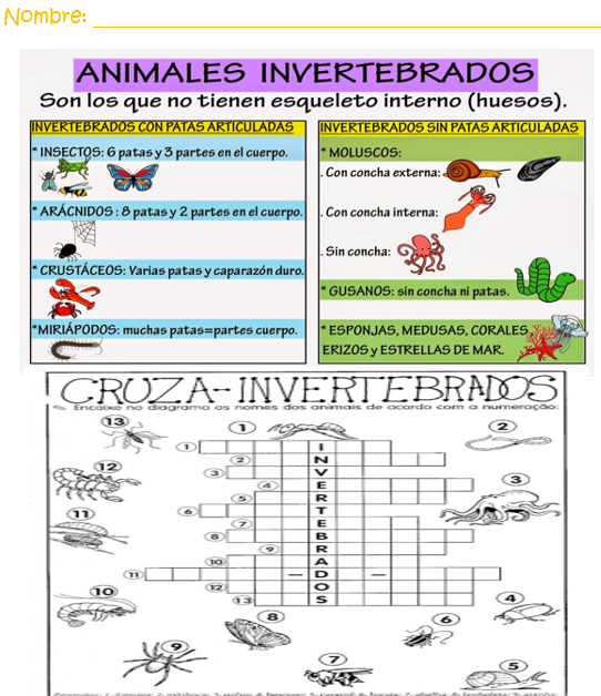 Fichas de Primaria: Ficha de animales invertebrados