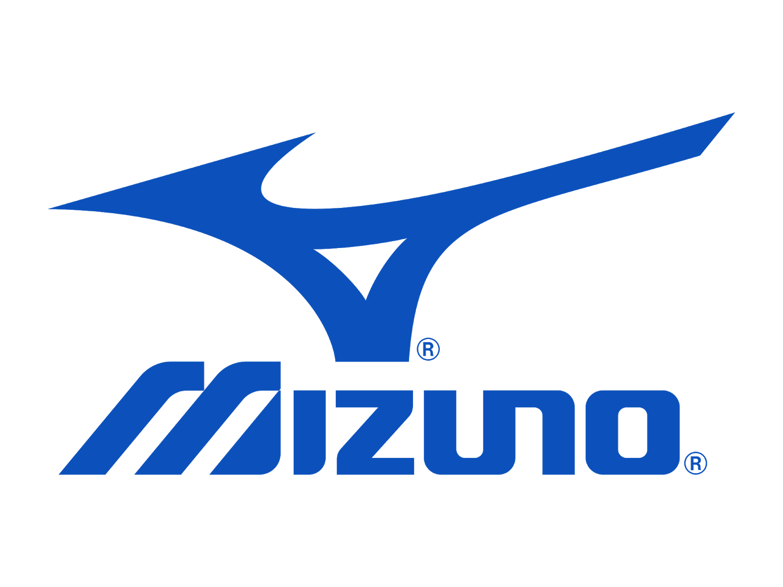 Logo Mizuno Vector Cdr & Png HD - Biologizone