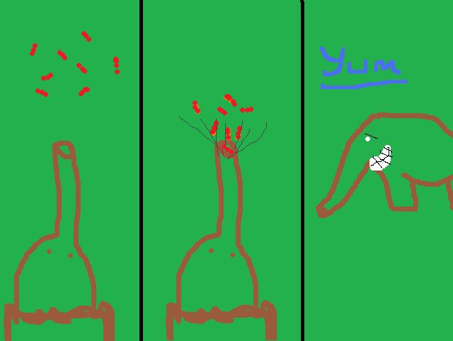 DPAPBio: Comic Strip energy transfer