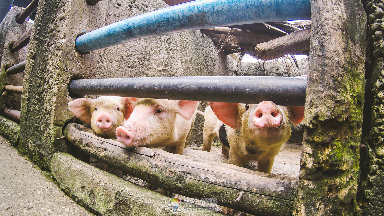 BATANES - Top 10 Heavenly Locations To Be In Philippines' Prettiest Island