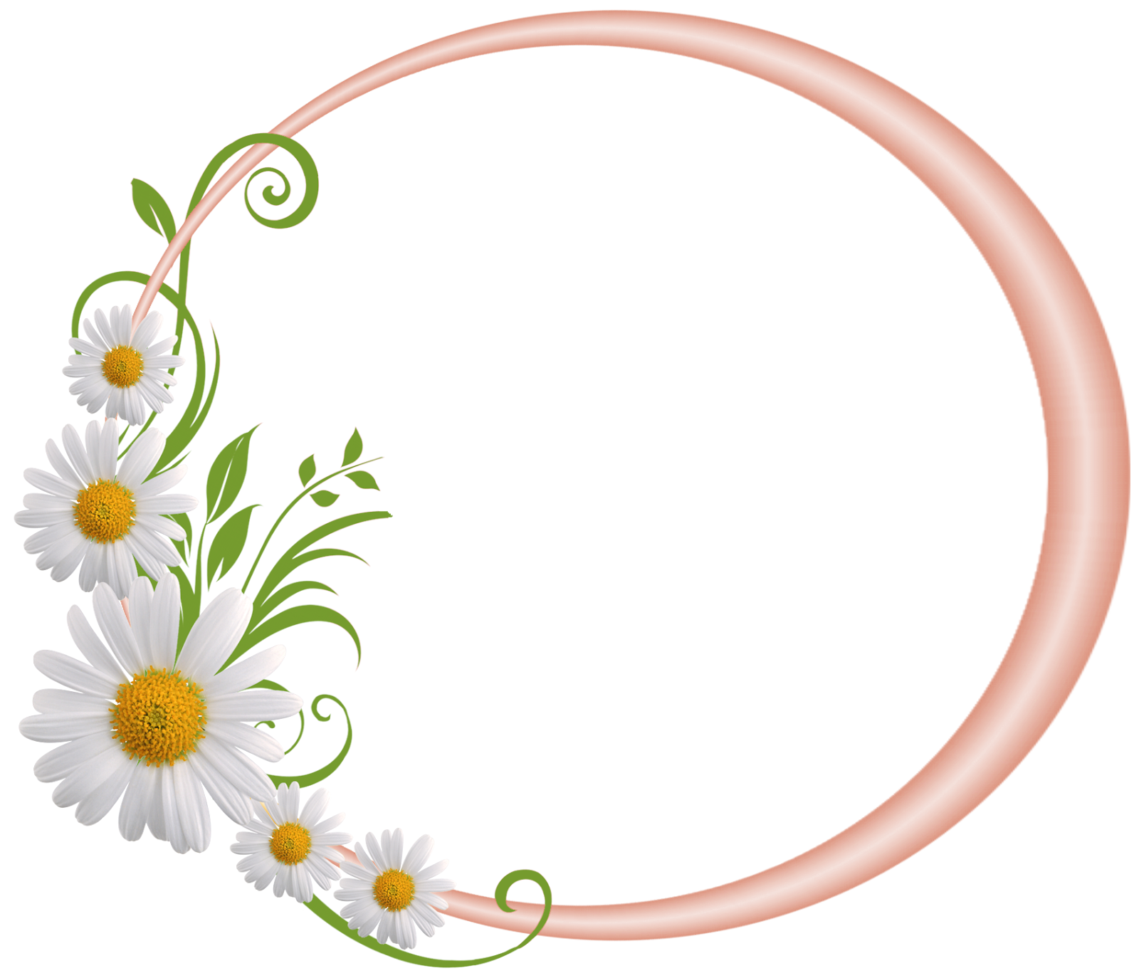 ForgetMeNot: daisies frames