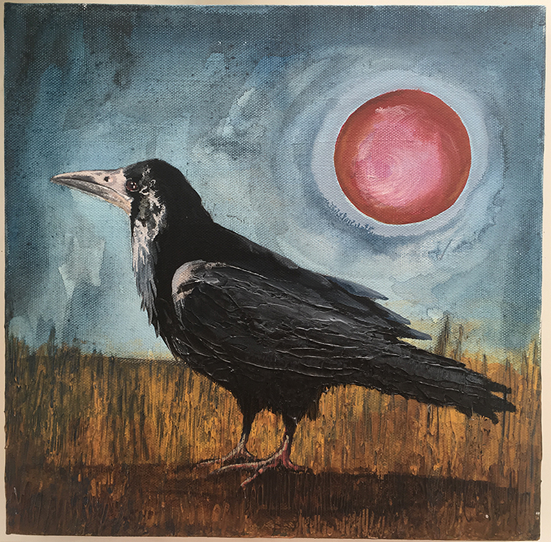 Linda Kemshall: Did you know DMTV has a shop?