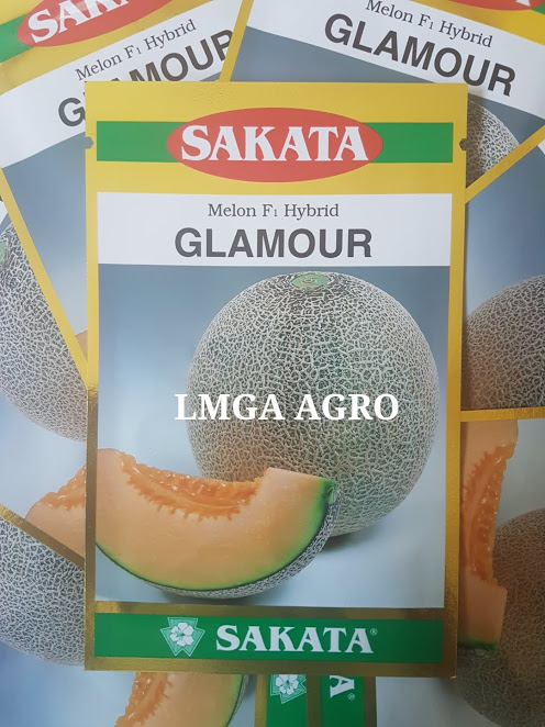 Toko Pertanian Terdekat | Lmga Agro: Tanaman Melon Buah Segar Dengan ...