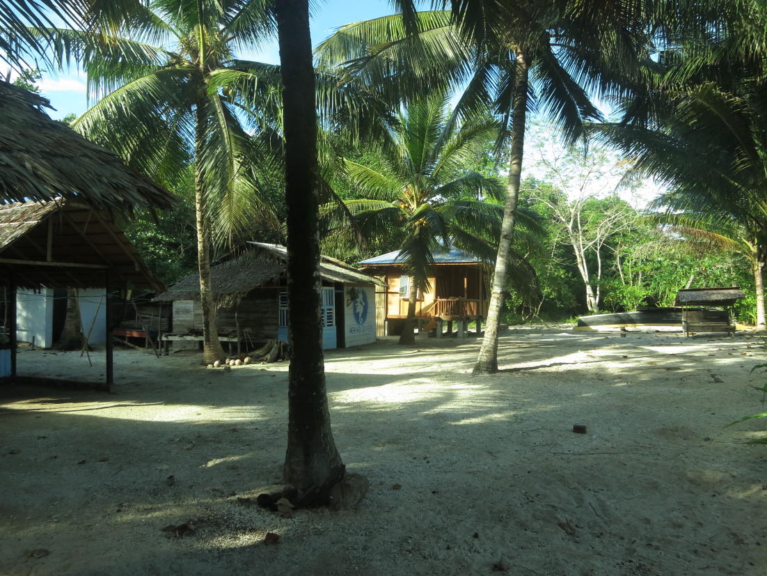 from Dublin to........Mirissa, Sri Lanka: Amazing Pulau Bangka ...