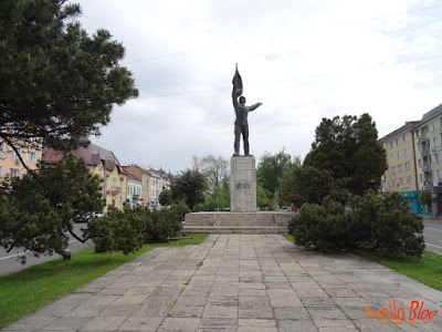 Apollo Blog: Targu Mures