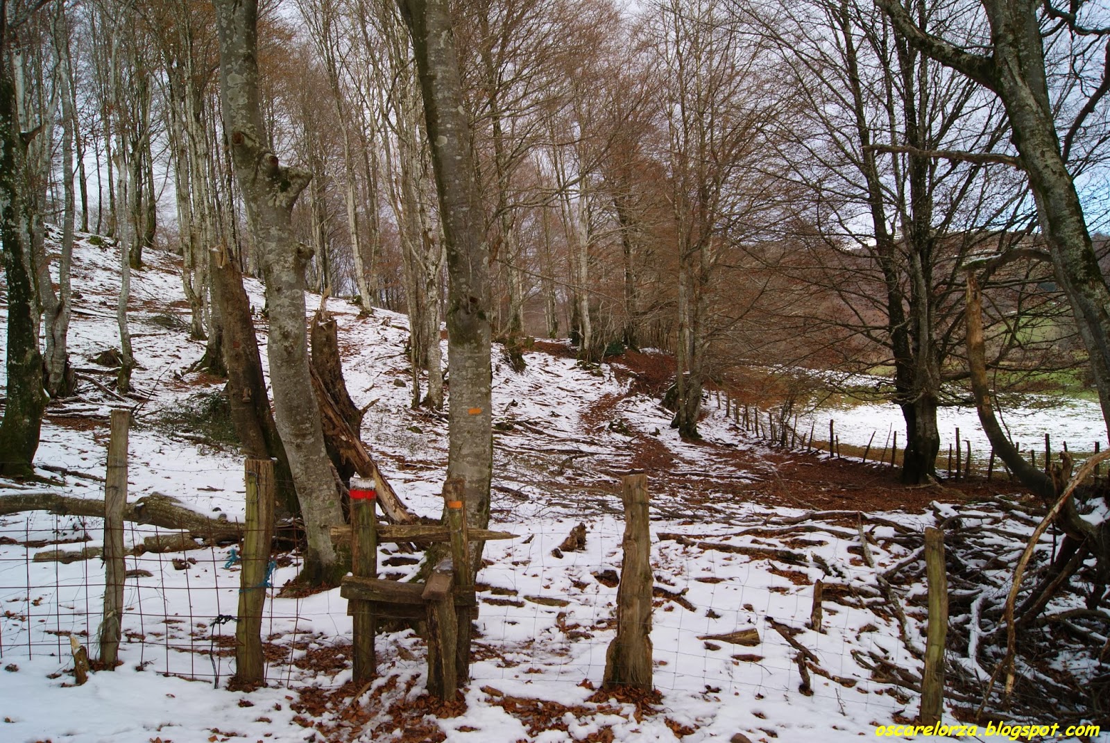 Monteadicción: Montes de Belate ( Gazteluzarra-Mendiborobil-Iterrizokoa ...