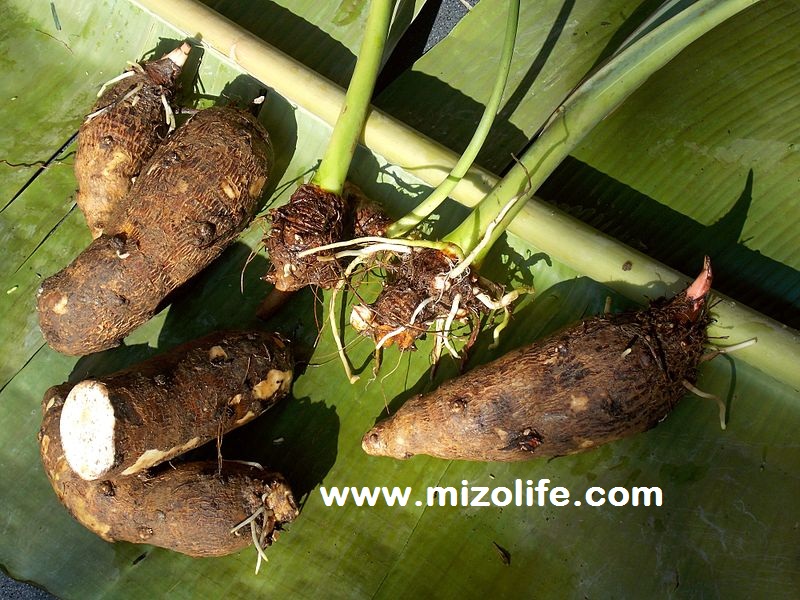 Mizo Thlai/Chawhmeh Hming - Chawhmeh Hming English And Mizo | TIMES OF ...