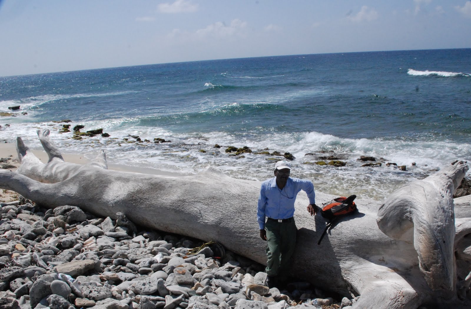 CHINCHILINA: Te hablo de Alto Velo (3 de 3)