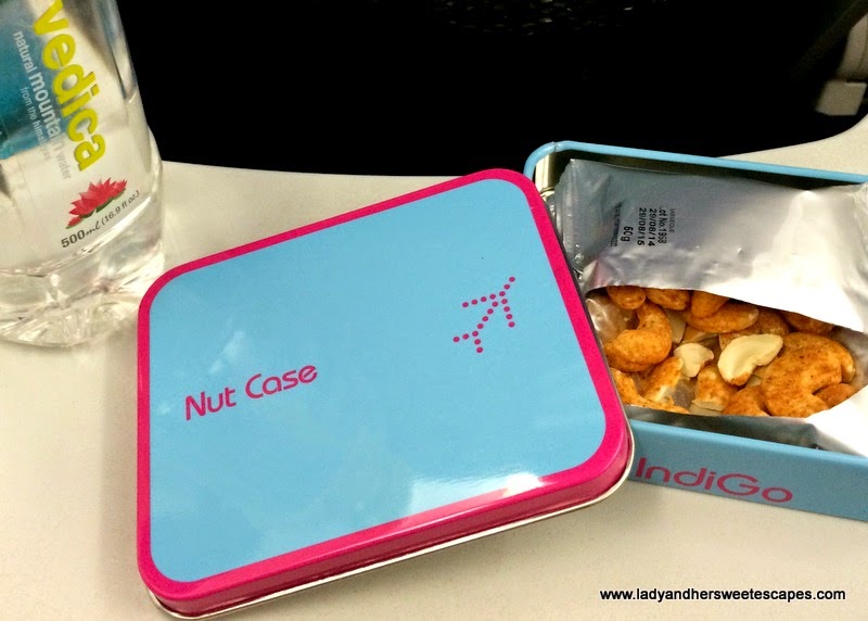 India: The Travel Plan and The Budget Flight | Lady & her Sweet Escapes