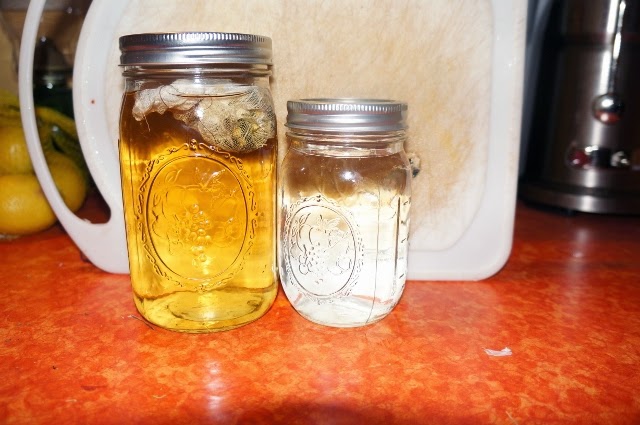 Rustic Revival: Skullcap Headache Tea