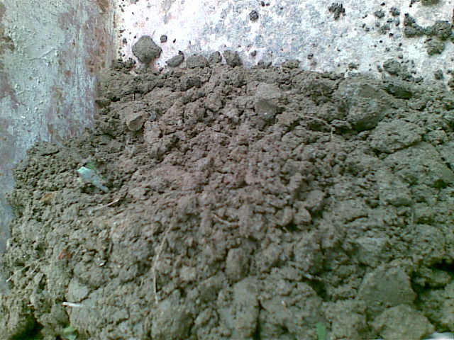 PEMBORAN TANAH DAN PENGAMBILAN CONTOH TANAH