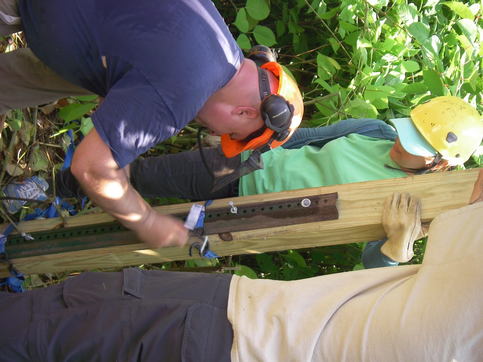 Wildlife Monitor: Bat House Installation