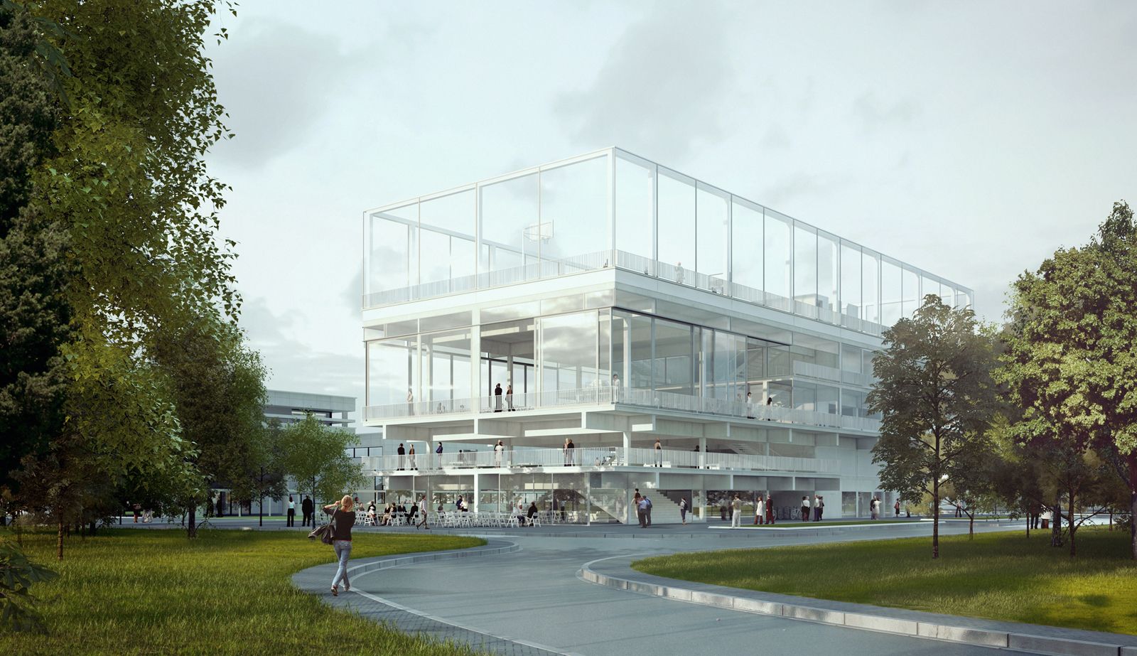 Muoto – a f a s i a