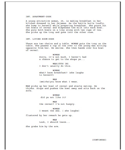 The Last Hurdle!: My Script- Brief Encounter