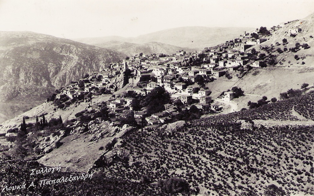 ΙΣΤΟΡΙΚΑ ΤΟΥ ΠΑΡΝΑΣΣΟΥ: 1956: ΤΡΥΓΟΣ ΣΤΑ ΠΑΡΑΞΕΝΑ ΑΜΠΕΛΙΑ ΤΗΣ ΑΡΑΧΩΒΑΣ
