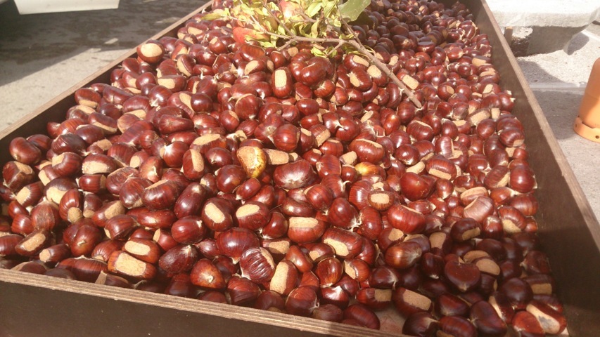 Convivium2000: 73^ Festa dei Marroni di Combai fino al 1° novembre 2017