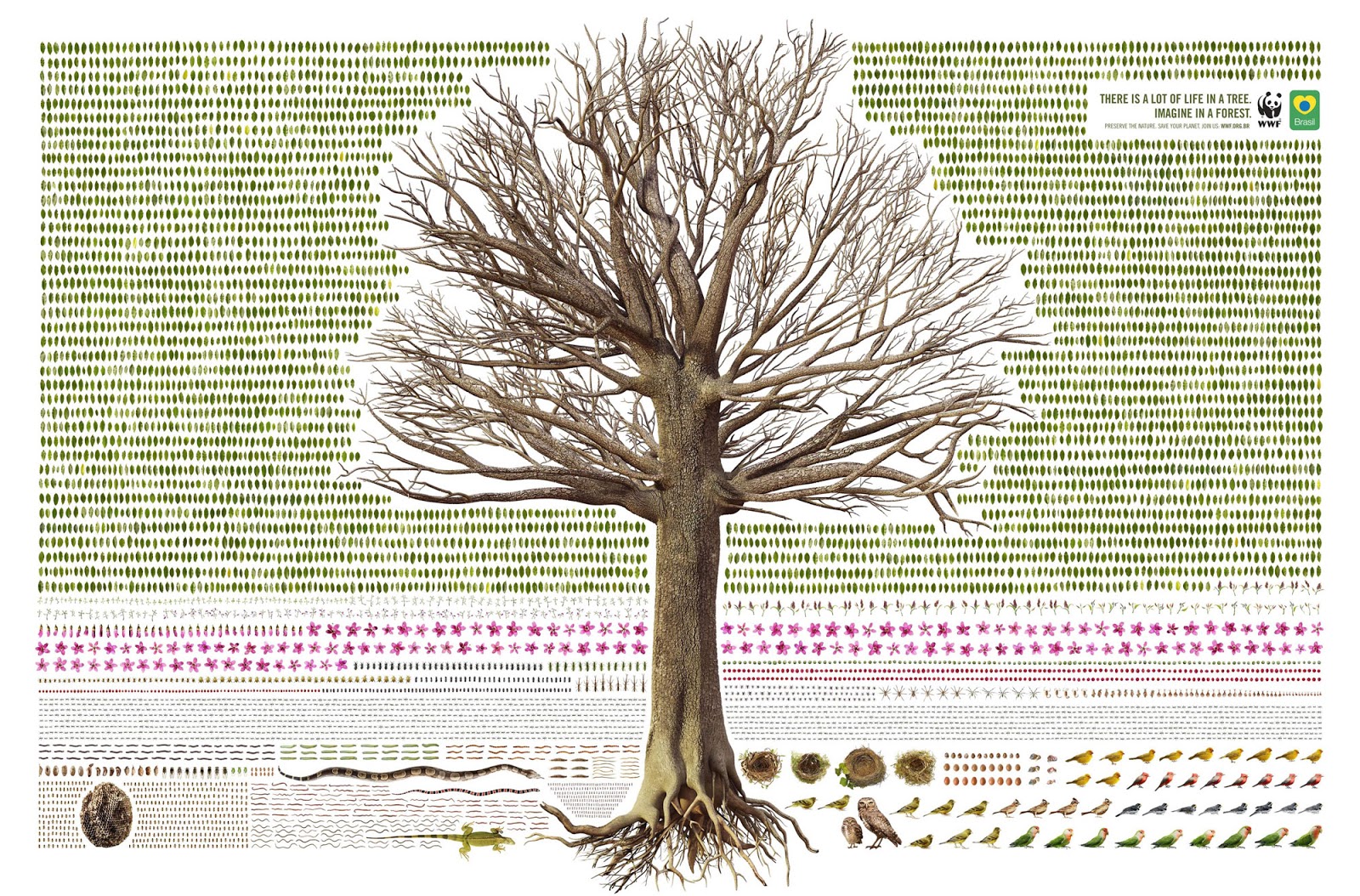 LIPITOR (The Best Beautiful Pharmaceutical Promotional Advertisement ...