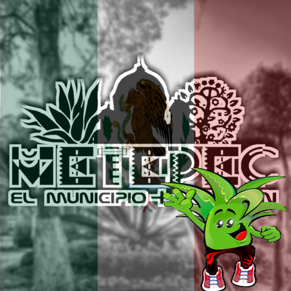 Pagina secundaria metepec