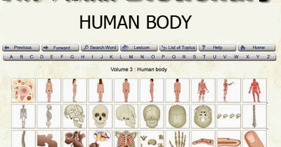 English Corner: Visual Dictionary: Human Body (all levels)