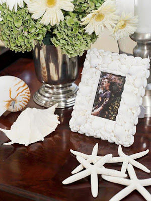 Decorating with Seashells