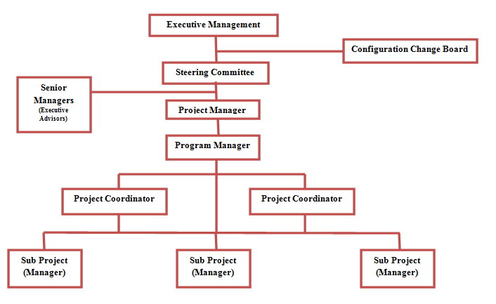 5 Organization Structure Influence Project Management