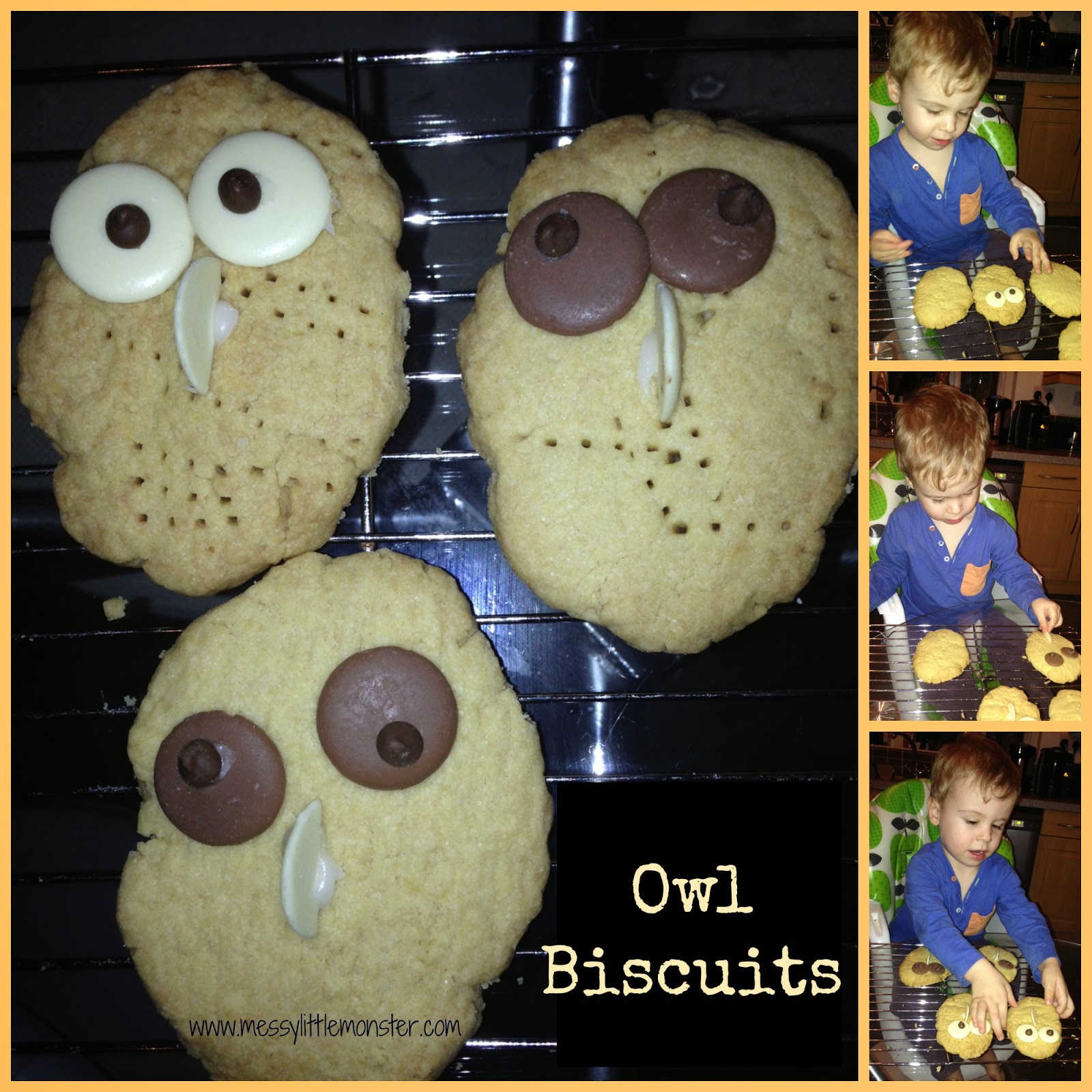 Owl Biscuits - Messy Little Monster