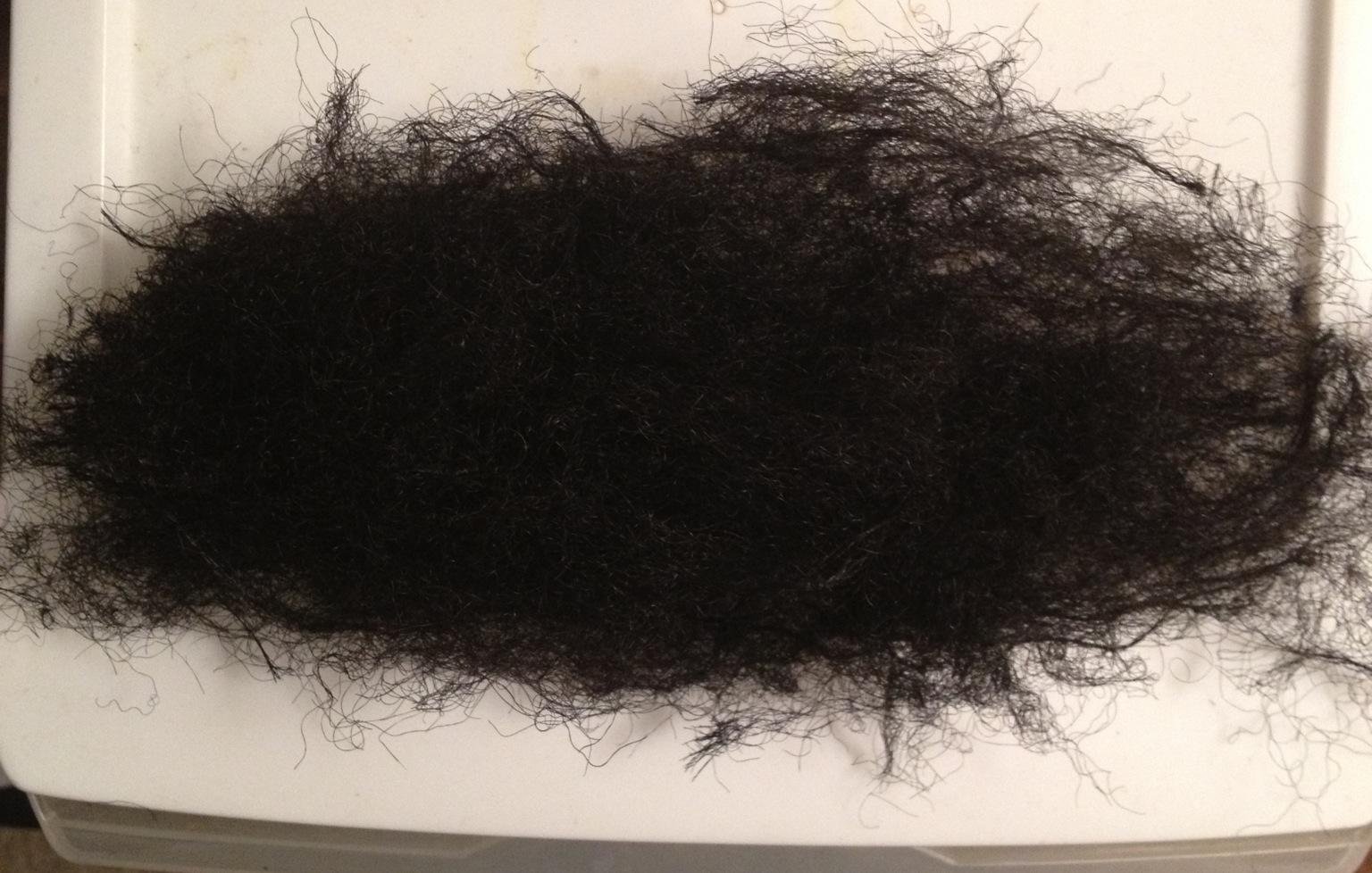 6-FOOT-LONG-HAIR: About 6-Foot-Long-Hair