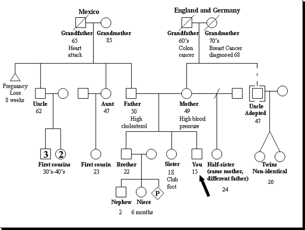 Lara's Jewnealogy: Genealogy and Medical History--Happy Cancerversary ...