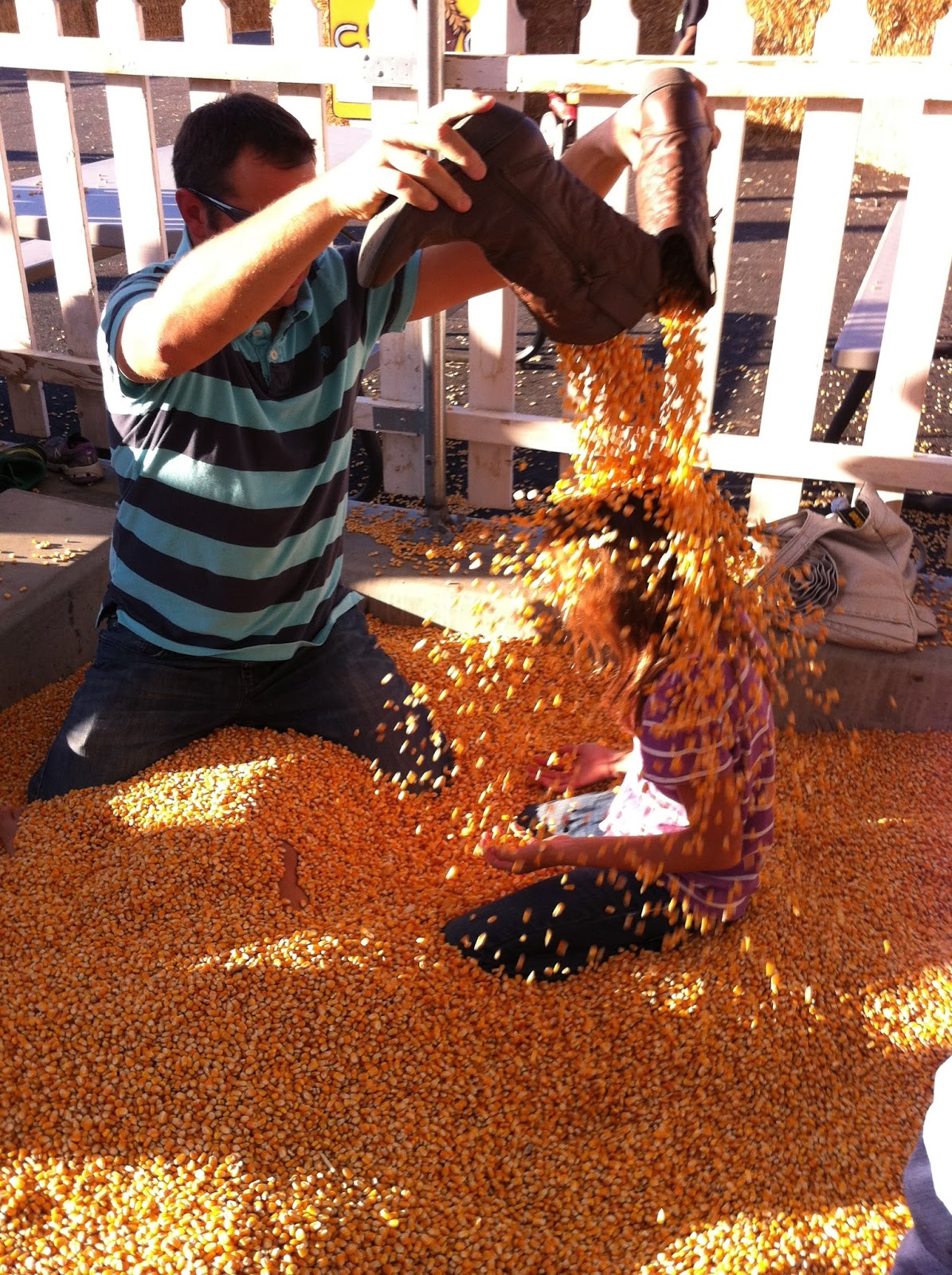 hummingbird hype: Corn Maze, Giant Pumpkin, Beautiful Sunflowers, Hay ...