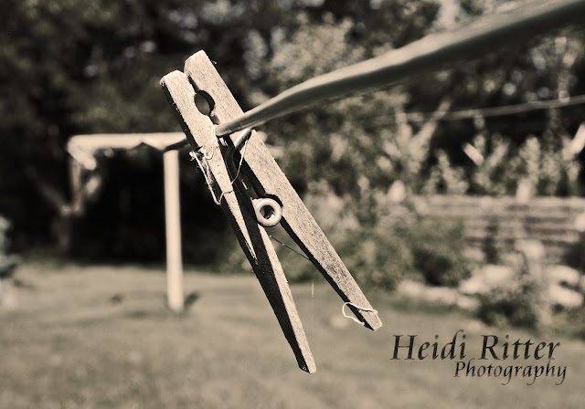 Heidi Ritter Photography