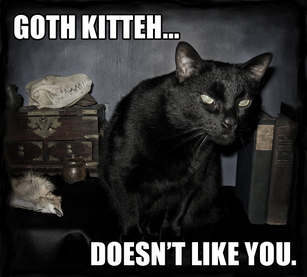 Romancing the Goth: Tip #47: Meet the Pets