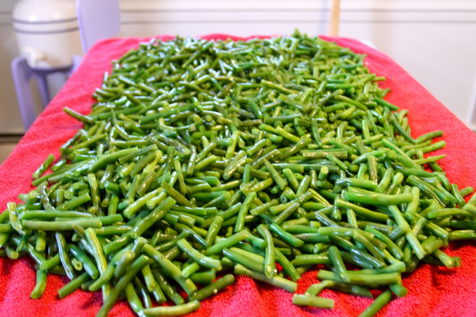 Bossy Italian Wife : Quick Fix: Freezing Green Beans!