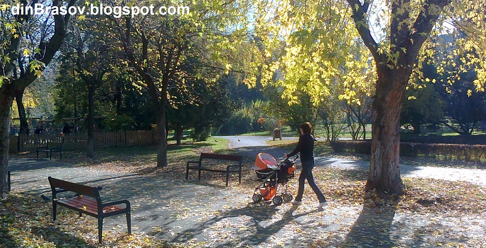 din Brasov: Toamna prin parcul central [poze]