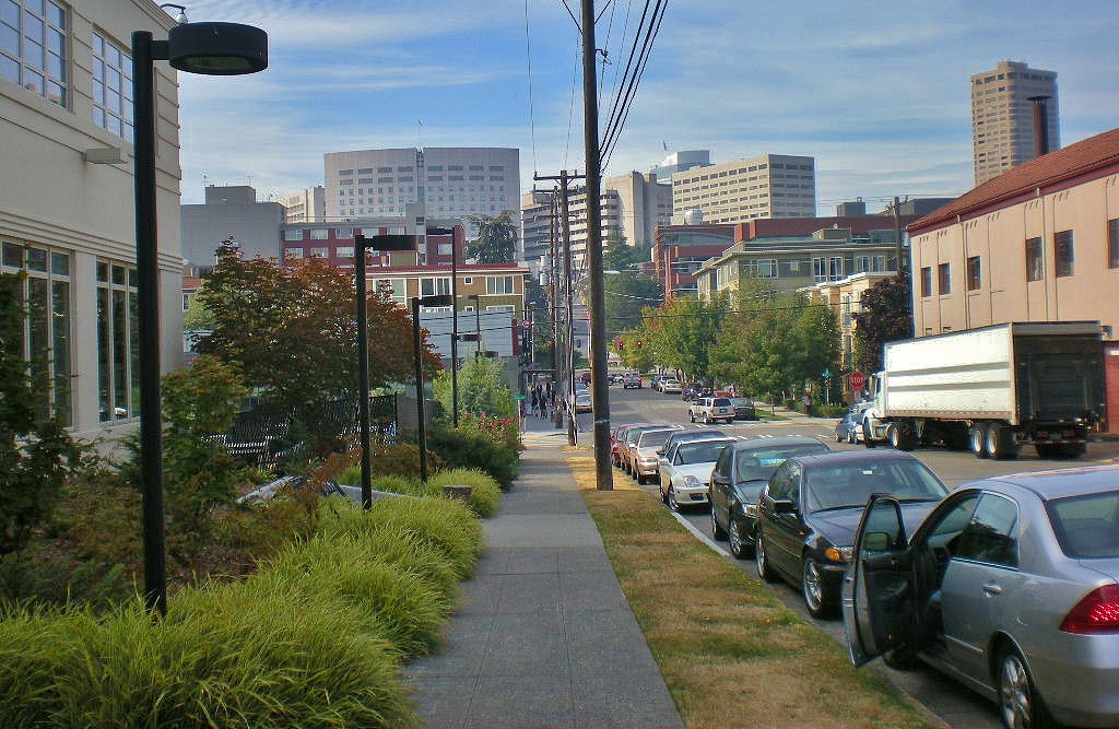 Urban Landscape, Native Landscape: Pollinator Pathway
