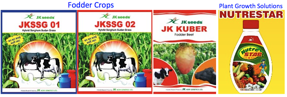 Best Stock Picks from Dolly Khanna: JK Agri Genetics Ltd - Repeat