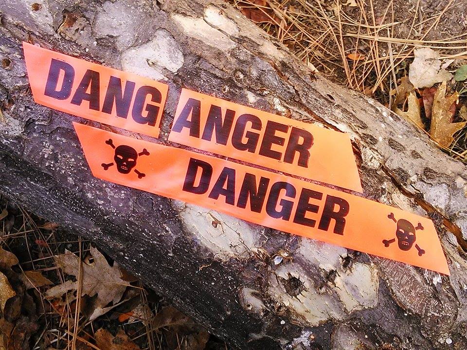 Wildland Fire Leadership: DANG ANGER DANGER