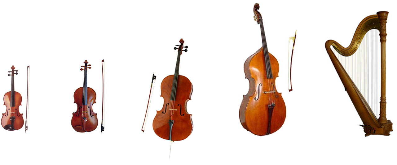 Secret Music Izeda: 5º A