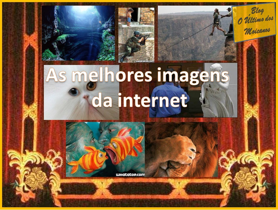 O Último dos Moicanos: *As melhores imagens da internet*