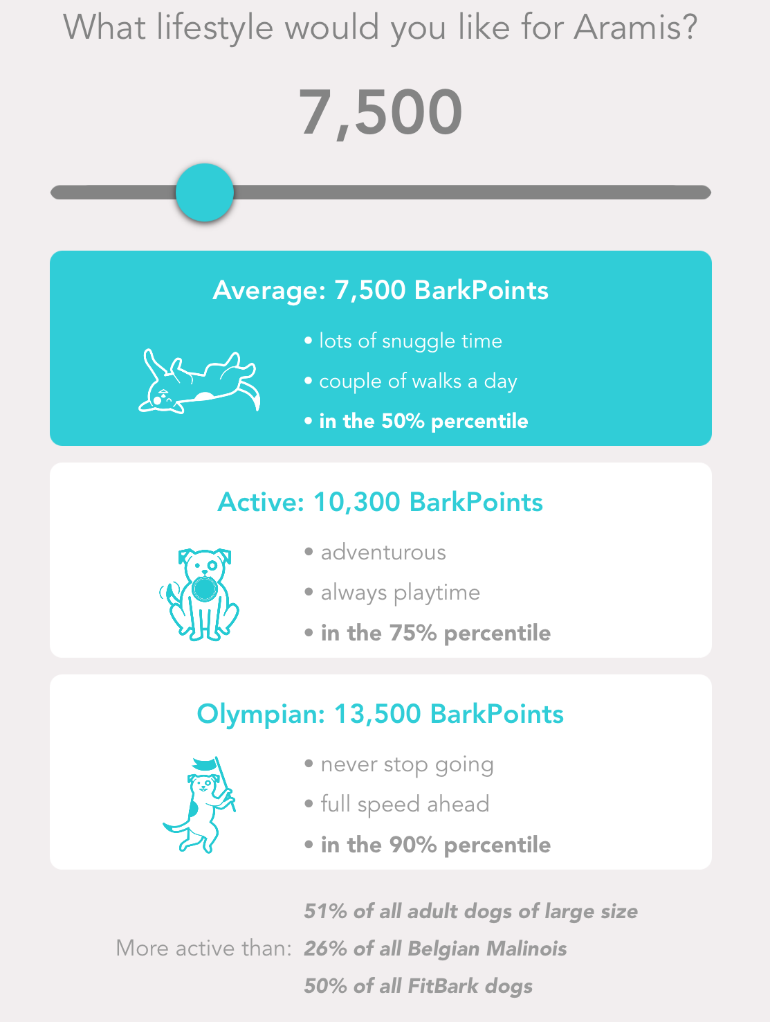 FitBark Dog Activity Monitor | Australian Dog Lover