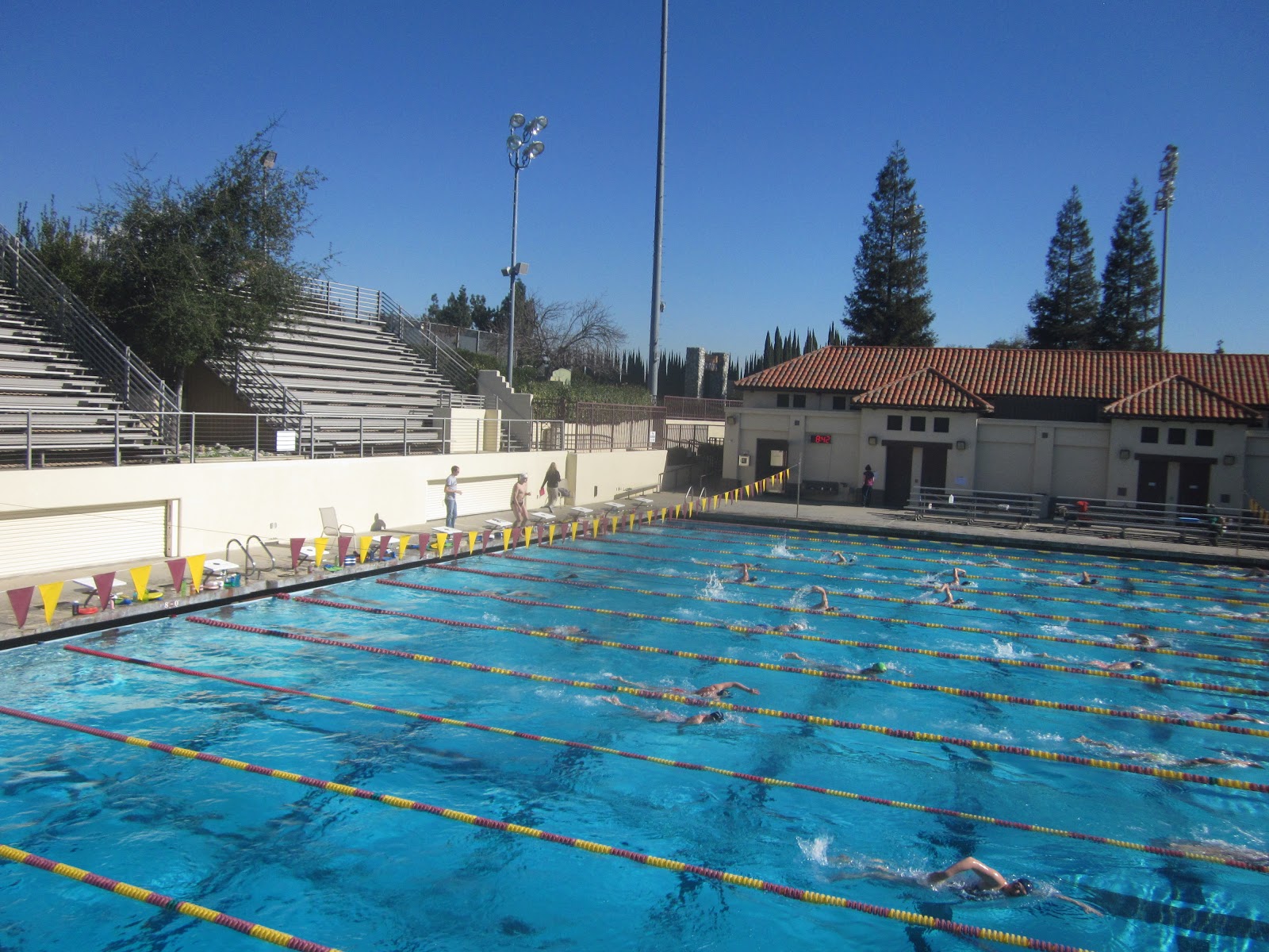 Whitman Swimming: The Ultimate Penultimate